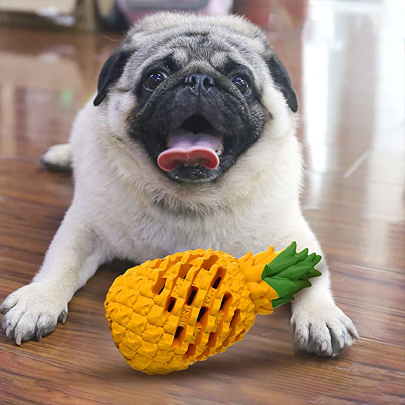 Chewfinity — Happy-Molly